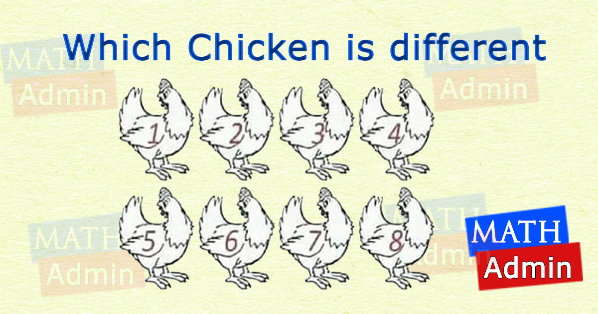 Pictorial 6 : Which Chicken is different - Math Admin